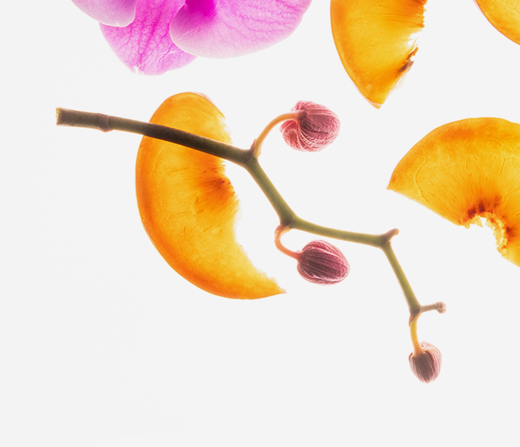 Peachy Lychee Power Essence Body & Hair Fragrance Mist – Touchland
