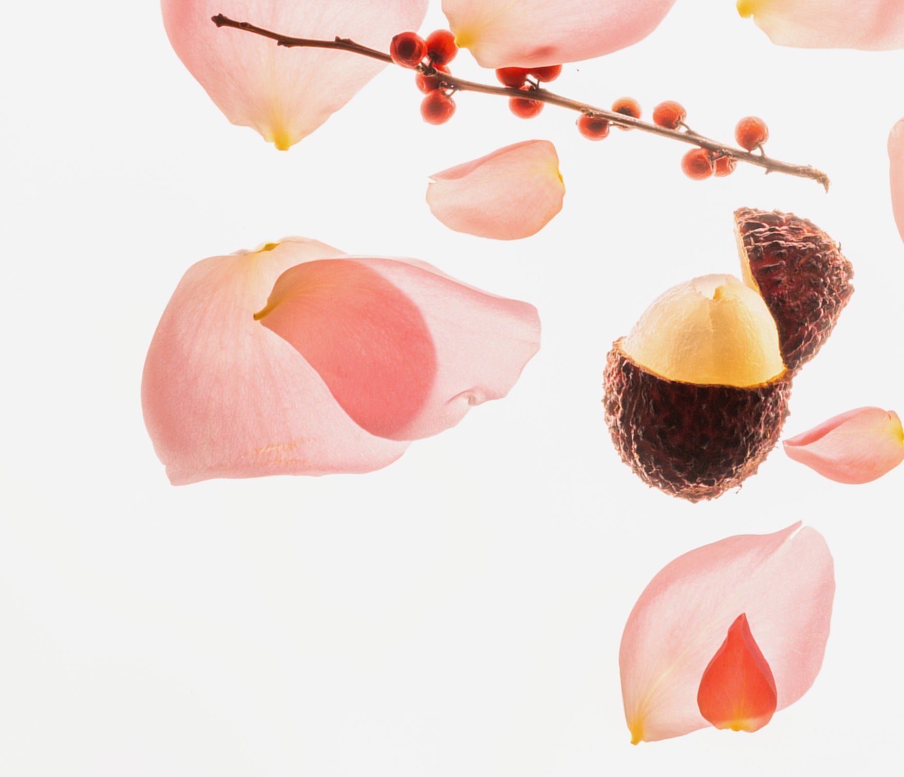 Glow Mist Rosewater – Touchland